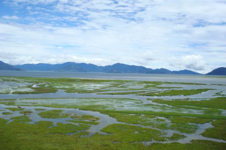 Pesona Danau Paniai, Tanah Surga di Papua yang Harus Dikunjungi | Hibur.id