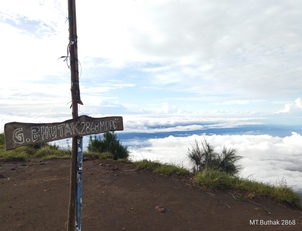 Pendakian Gunung Buthak Via Panderman Siapkan Tenaga dan Kamera | Hibur.id