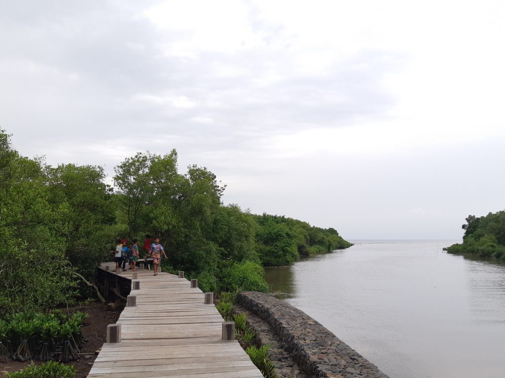 Kampung Blekok, Surganya Burung Air Se-Nusantara | Hibur.id