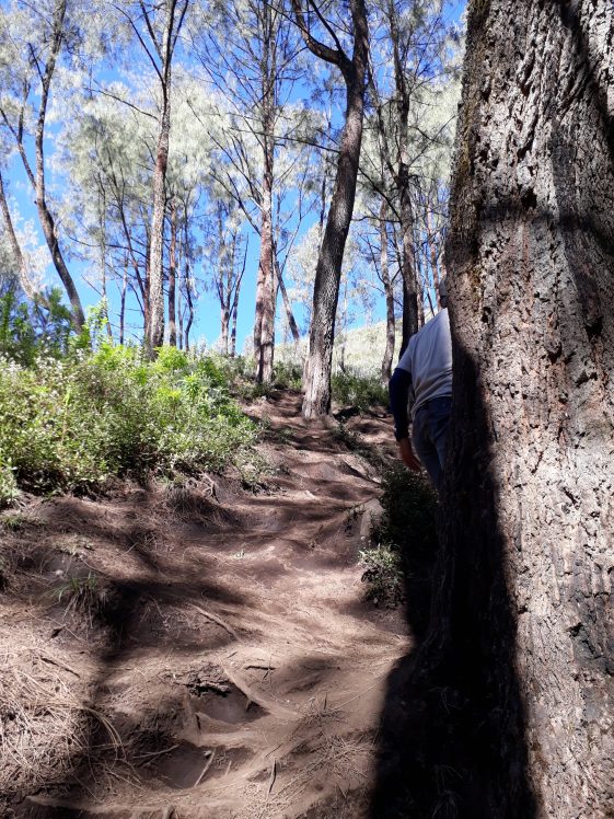 Pendakian Gunung Butak Via Pundensari Titik Baru yang Sedang Tren ...