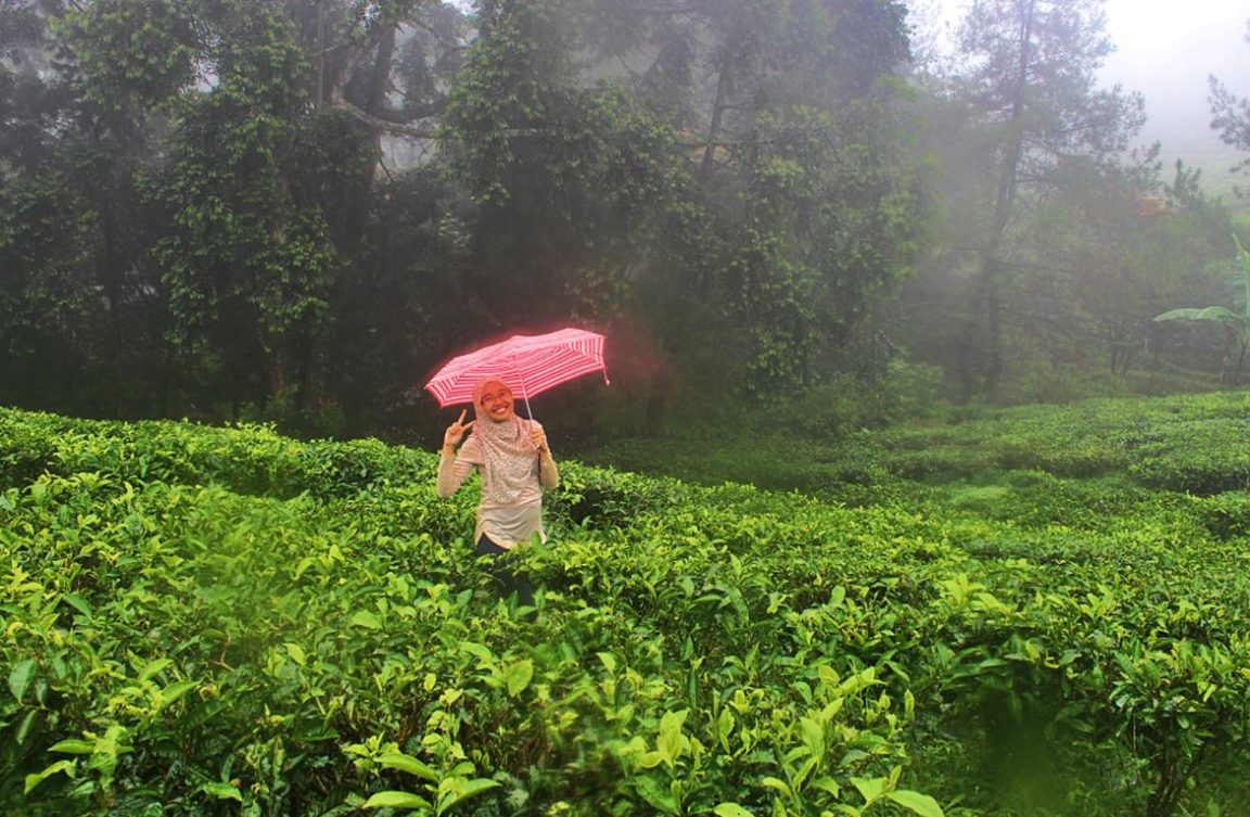 Sensasi Berkemah Di Wonderful Citamiang Glamping Ground | Hibur.id