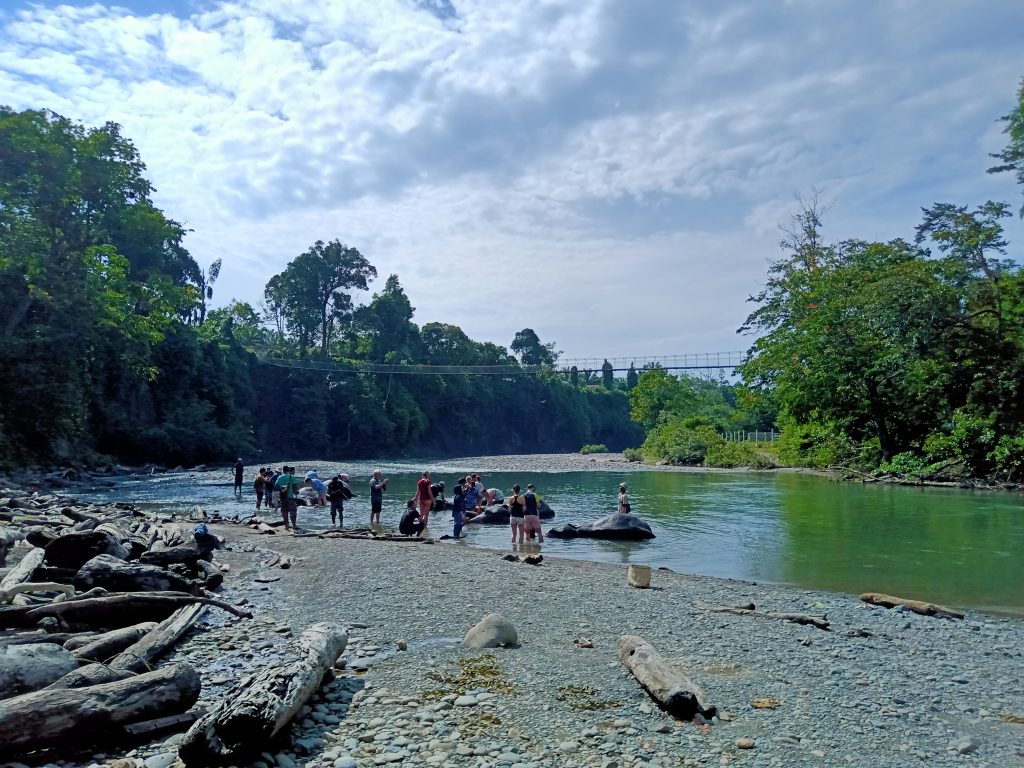 Ekowisata Tangkahan Surganya Desa Namo Sialang yang Sulit Ditolak ...