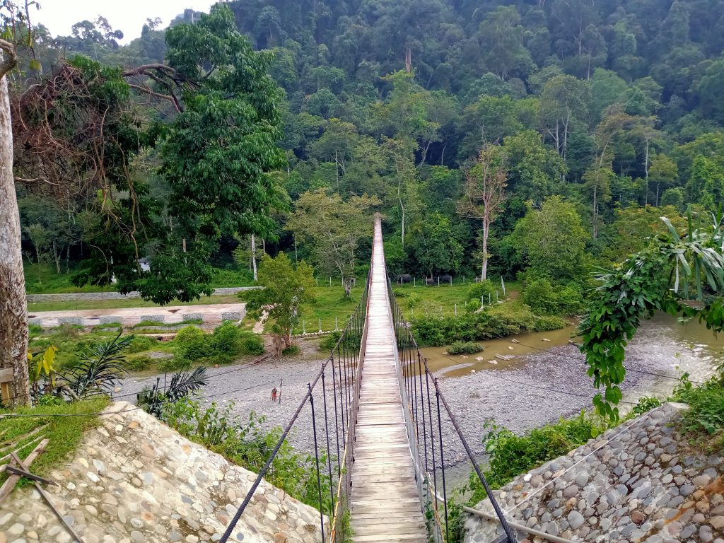 Ekowisata Tangkahan Surganya Desa Namo Sialang yang Sulit Ditolak ...