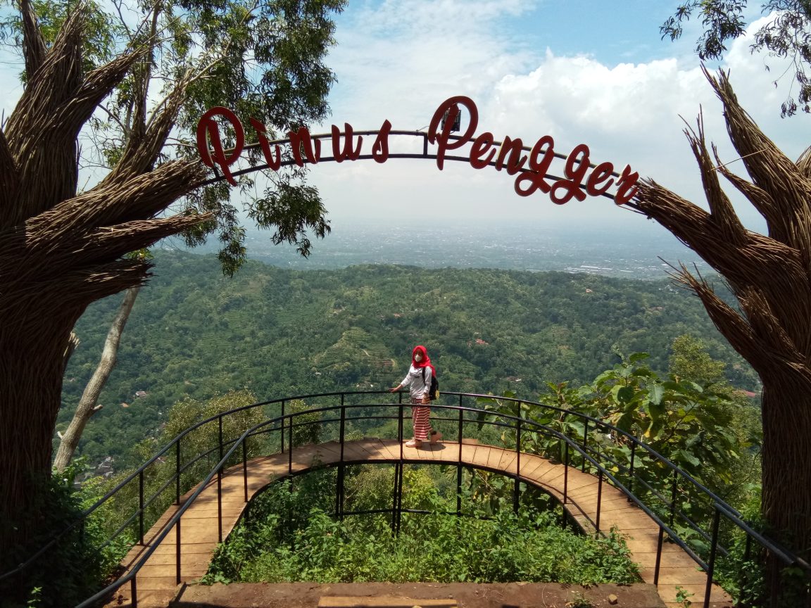 Serunya Berkemah Di Hutan Pinus Pengger | Hibur.id