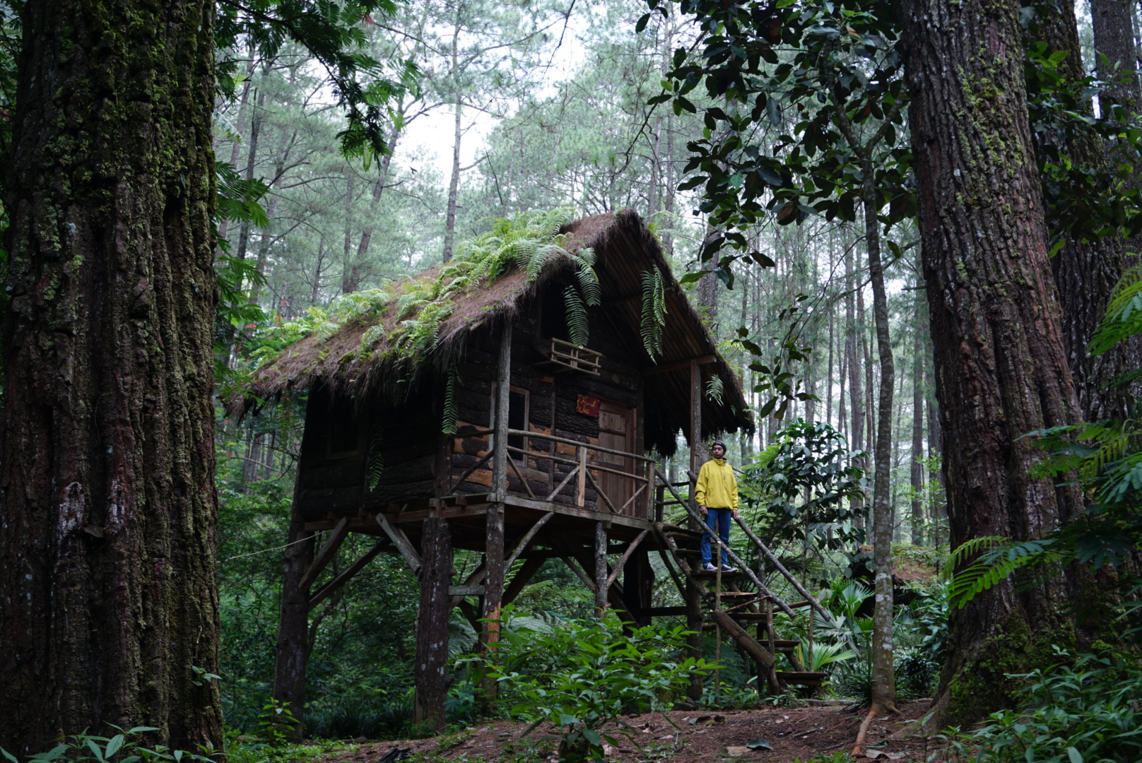 Kumpul Seru Di Taman Buru Gunung Kareumbi Masigit - Destinasi Travel ...