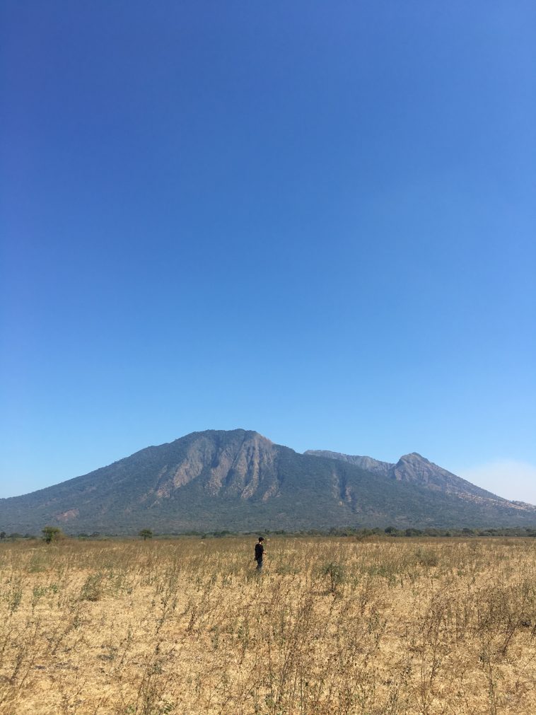 Berkemah Di Savana Bekol - Lokasi Wisata Dengan Keindahan Ala Afrika ...