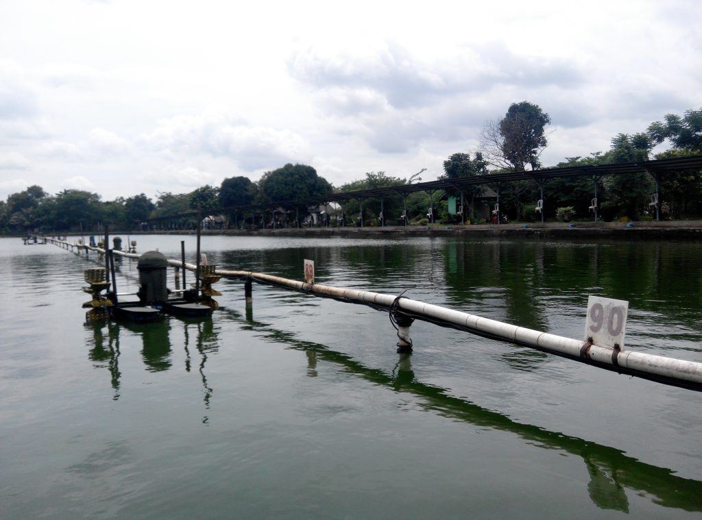 Telaga Mina Surganya Pemancing, Ajak Keluarga Memancing Ikan Di Sini ...