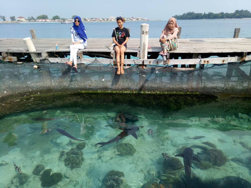 Pulau Semak Daun, Destinasi Wisata Yang Cocok Untuk Liburan Panjang ...