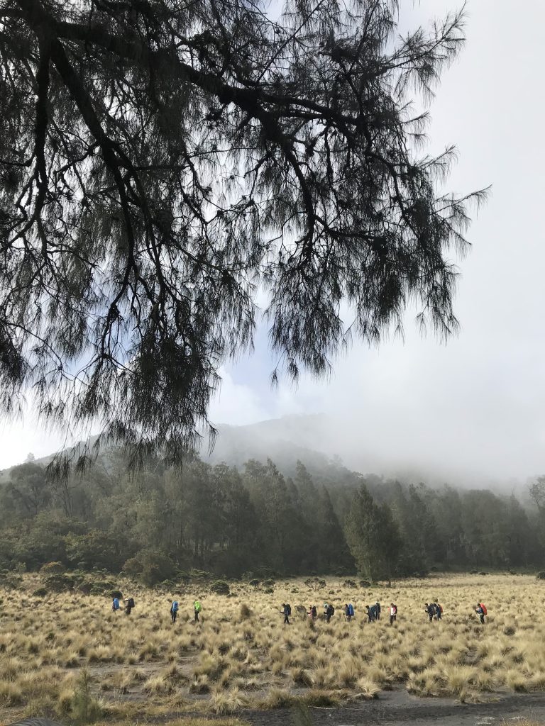 Spot Wisata Populer Yang Ada Di Gunung Semeru | Hibur.id