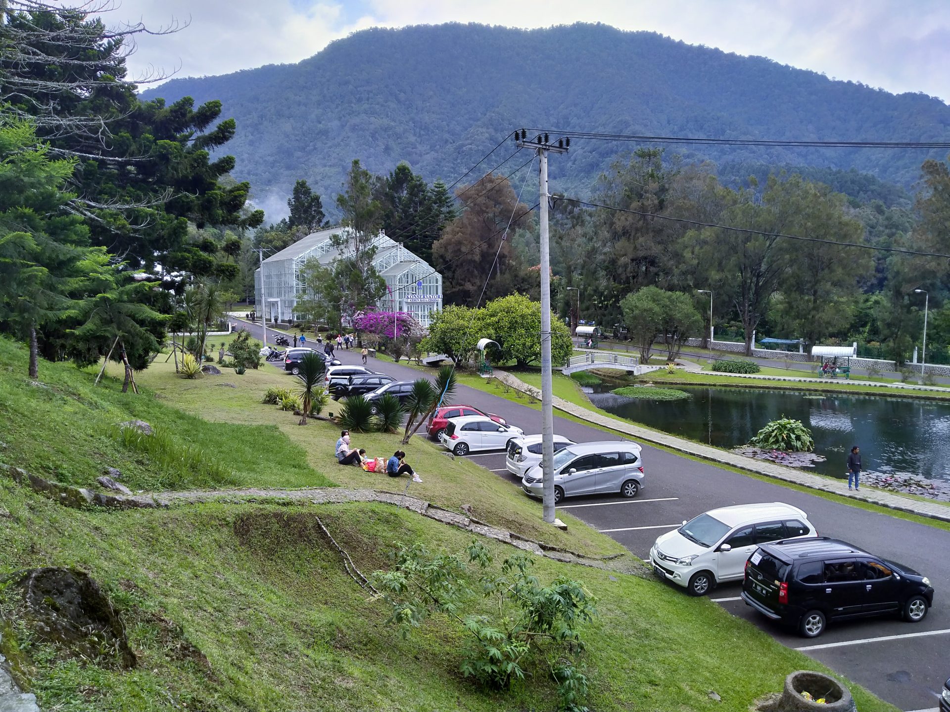 Berkemah Sambil Menikmati Indahnya Bunga Sakura Di Taman Sakura Kebun ...