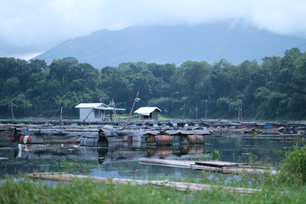 Tidak Hanya Ranu Kumbolo, Lumajang Juga Punya Ranu Bedali | Hibur.id