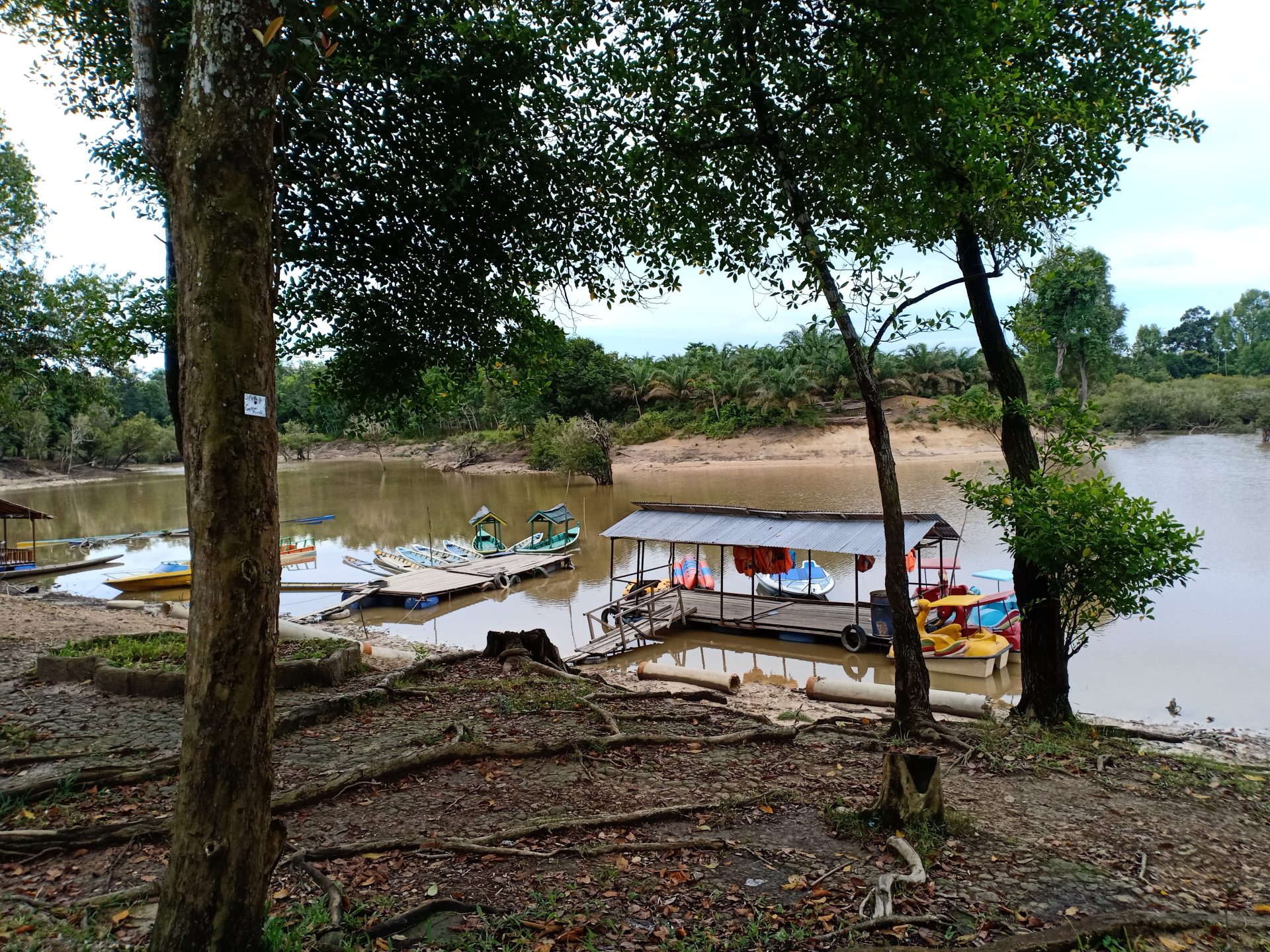 Inilah Danau Tangkas Sekernan, Wisata Alam Yang Indah di Muaro Jambi ...