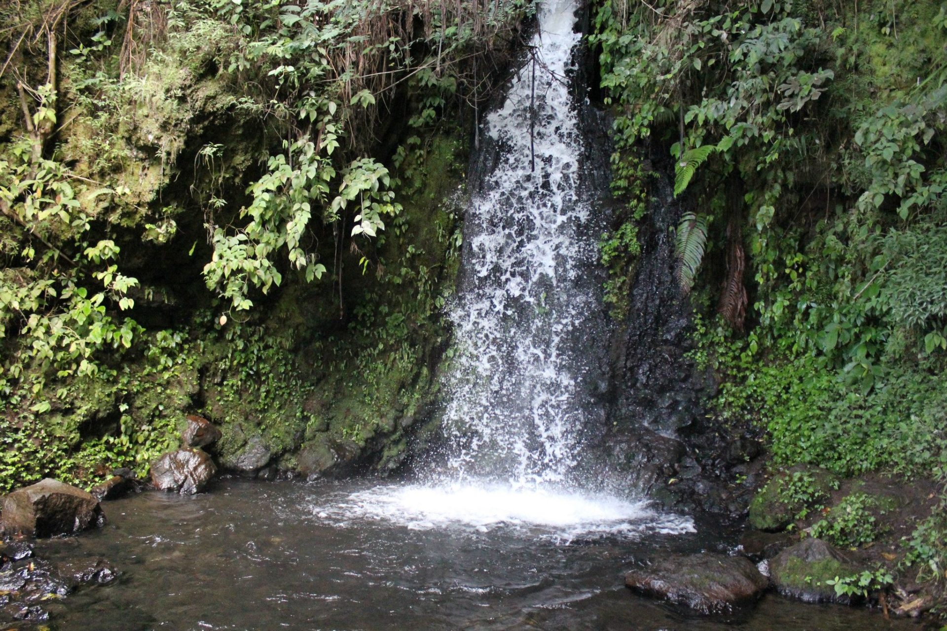 Inilah Dia Curug Citiis, Hidden Gem di Kabupaten Garut! | Hibur.id