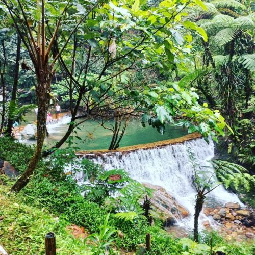 Lembah Tepus, Lokasi Tepat Untuk Berkemah Bersama Keluarga Sambil ...