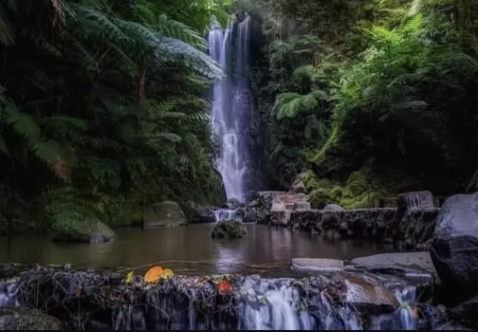 Curug Sadim - Curug Dengan Keindahan Kebun Teh Yang Menawan - Destinasi ...