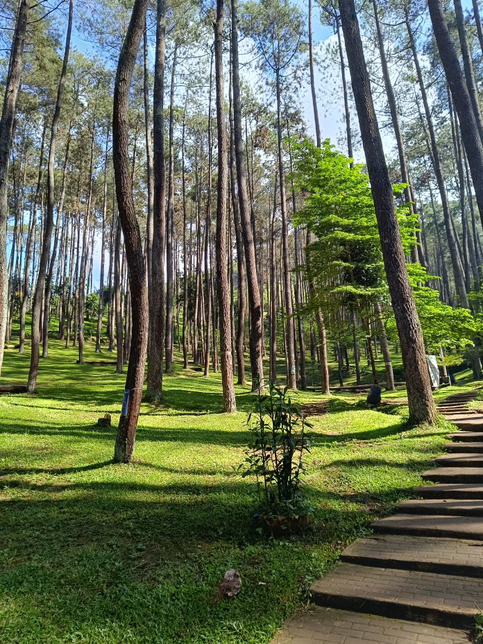 Ajak Keluarga Kalian untuk Berkemah Di Wisata Batu Kuda - Destinasi ...