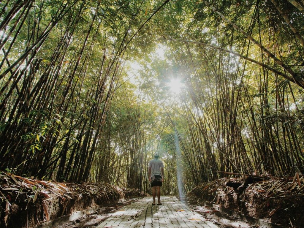5 Destinasi Wisata Alam Terbaik di Bangli, Bali | Hibur.id