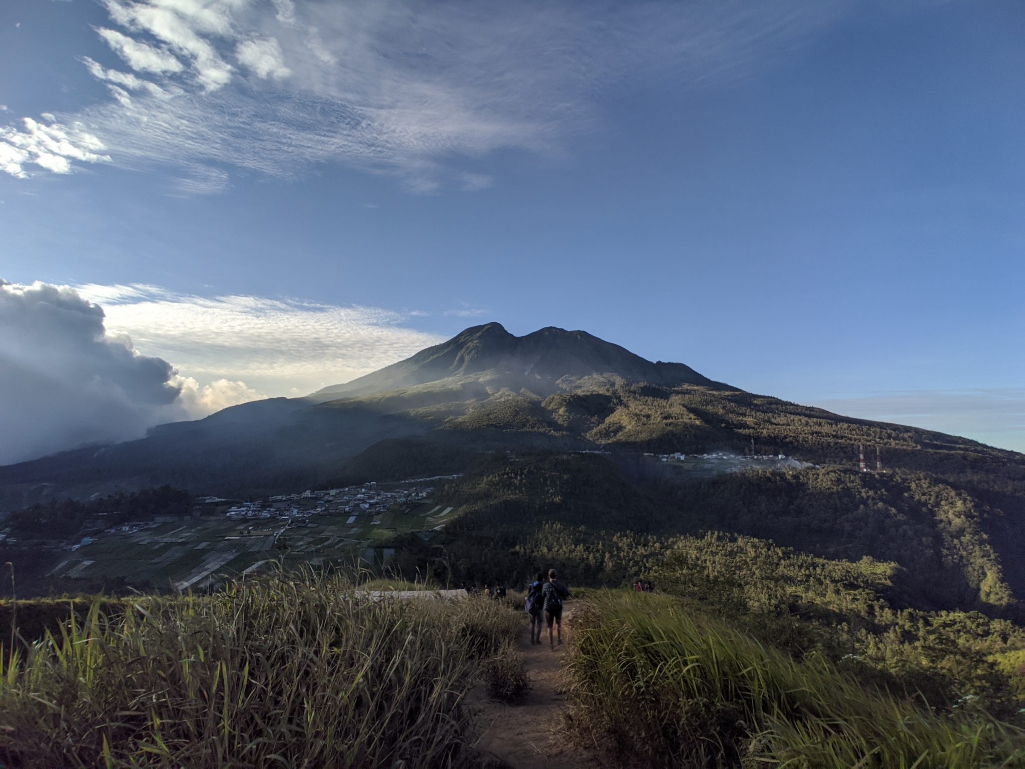 Menyusuri Keindahan Bunga Edelweiss di Jawa: 5 Destinasi Wisata yang ...