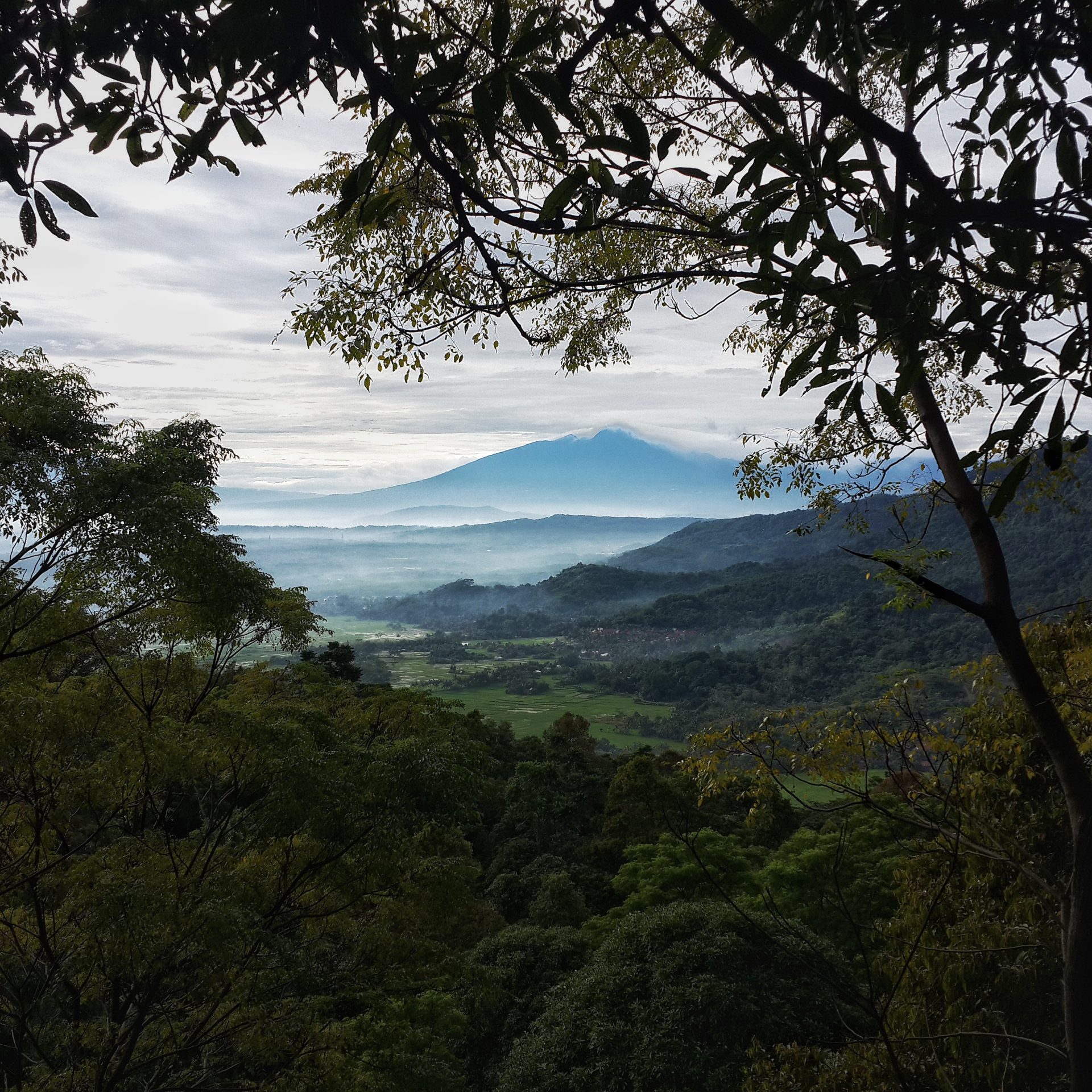 Bukit Munara, Spot Berkemah dan Pendakian Yang Cocok Bagi Pemula ...
