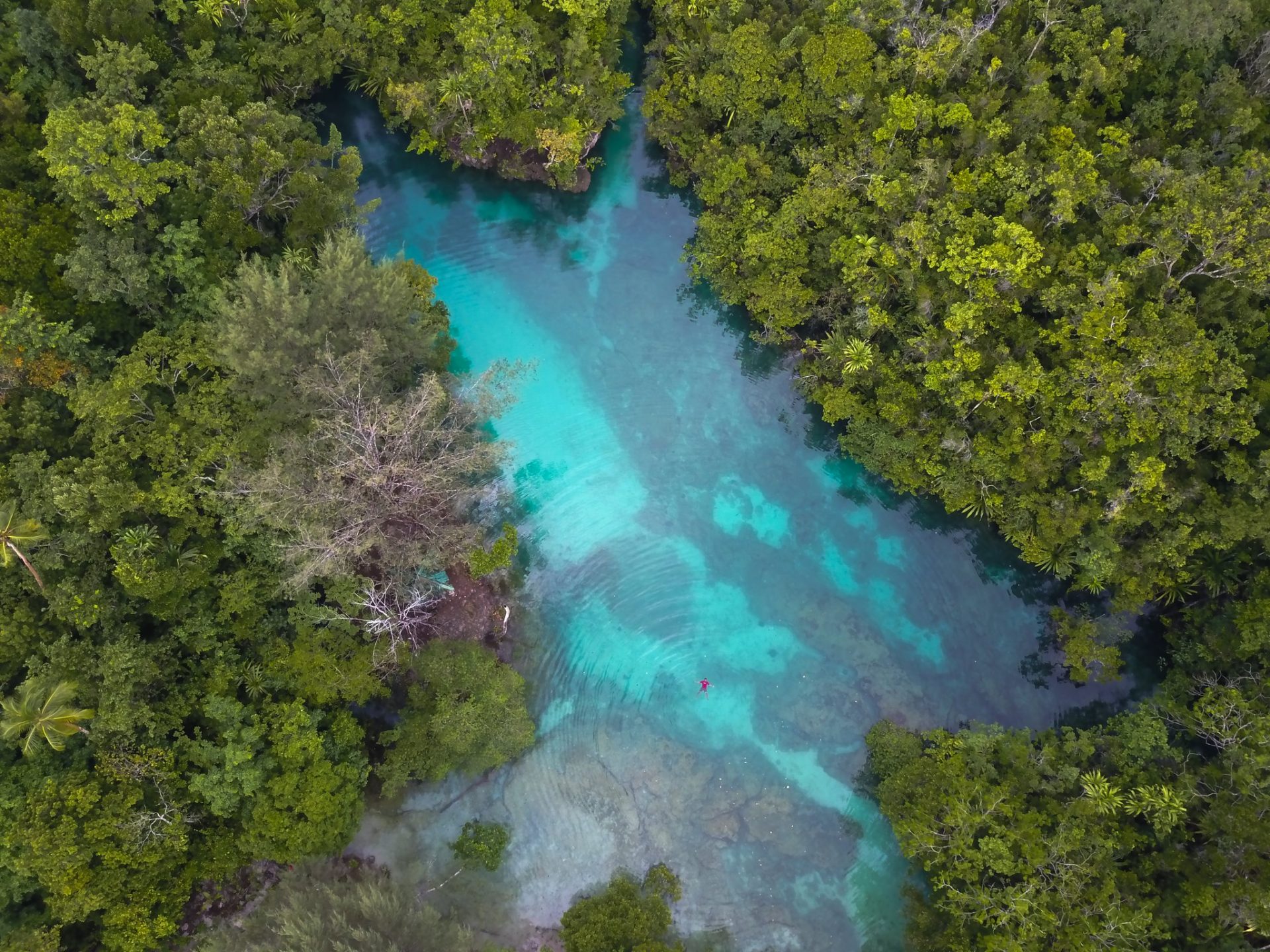 Menakjubkan! Keindahan Danau Sebening Kaca yang Ada di Indonesia | Hibur.id