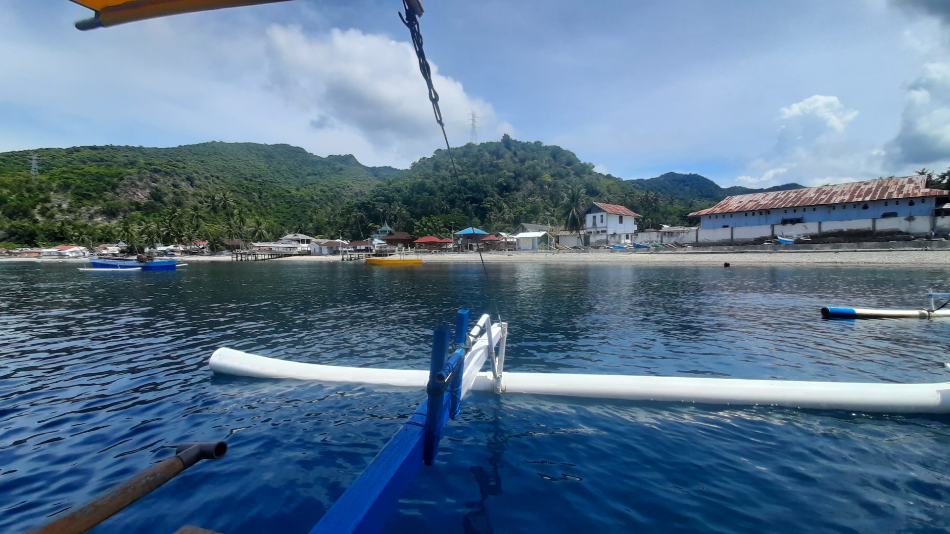 Menemukan Keajaiban Bawah Laut: Destinasi Melihat Hiu | Hibur.id