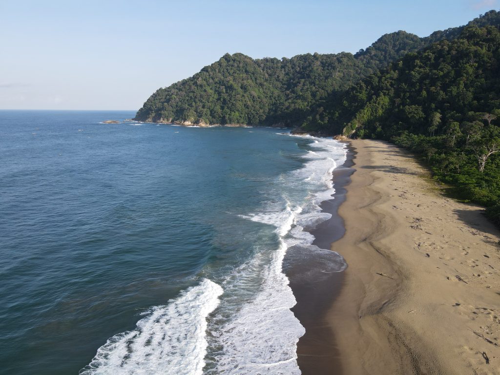 Keindahan Tersembunyi di Banyuwangi: Menjelajahi Pesona Pantai-Pantai Memukau | Hibur.id
