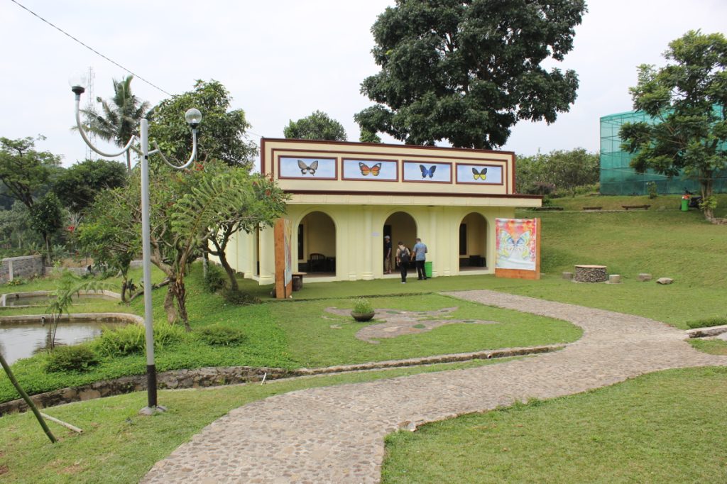 Keindahan Sayap di Negeri Kupu-kupu: Eksplorasi Taman Kupu-kupu ...