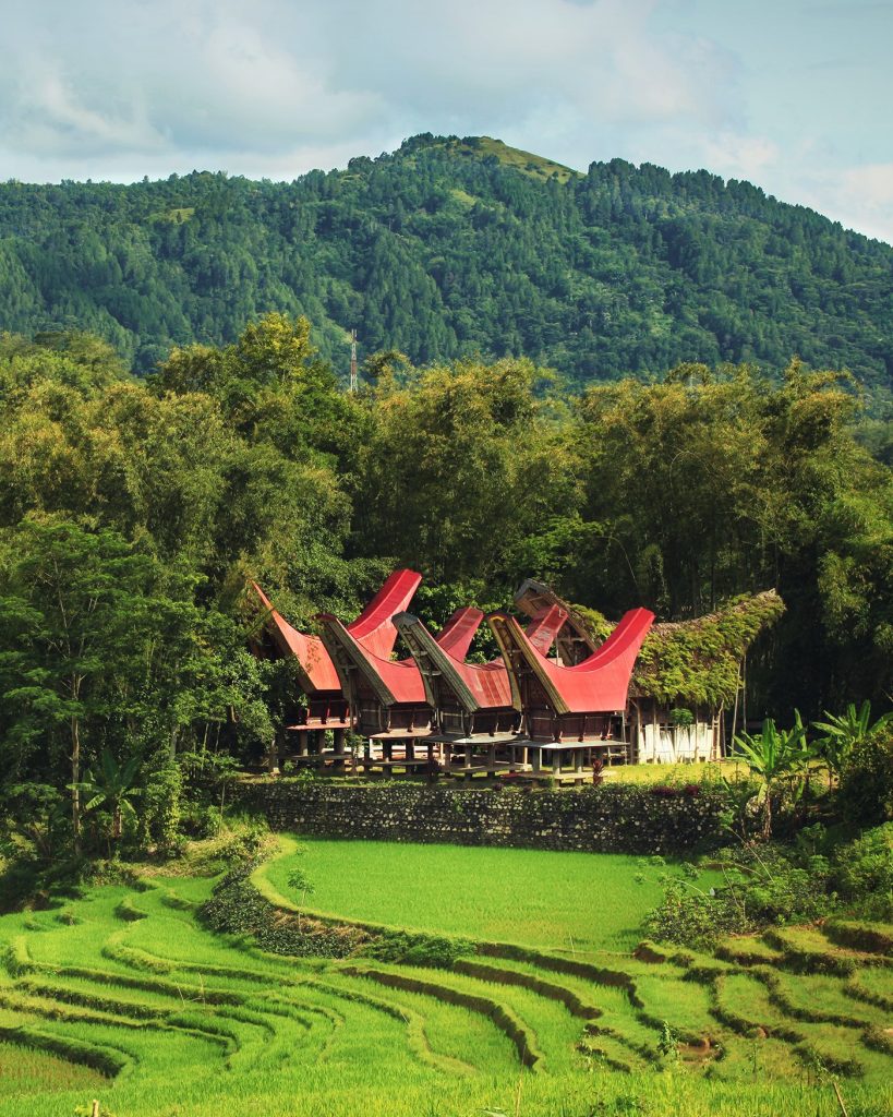10 Pesona Terindah Terasering Indonesia yang Memukau - Hibur.id