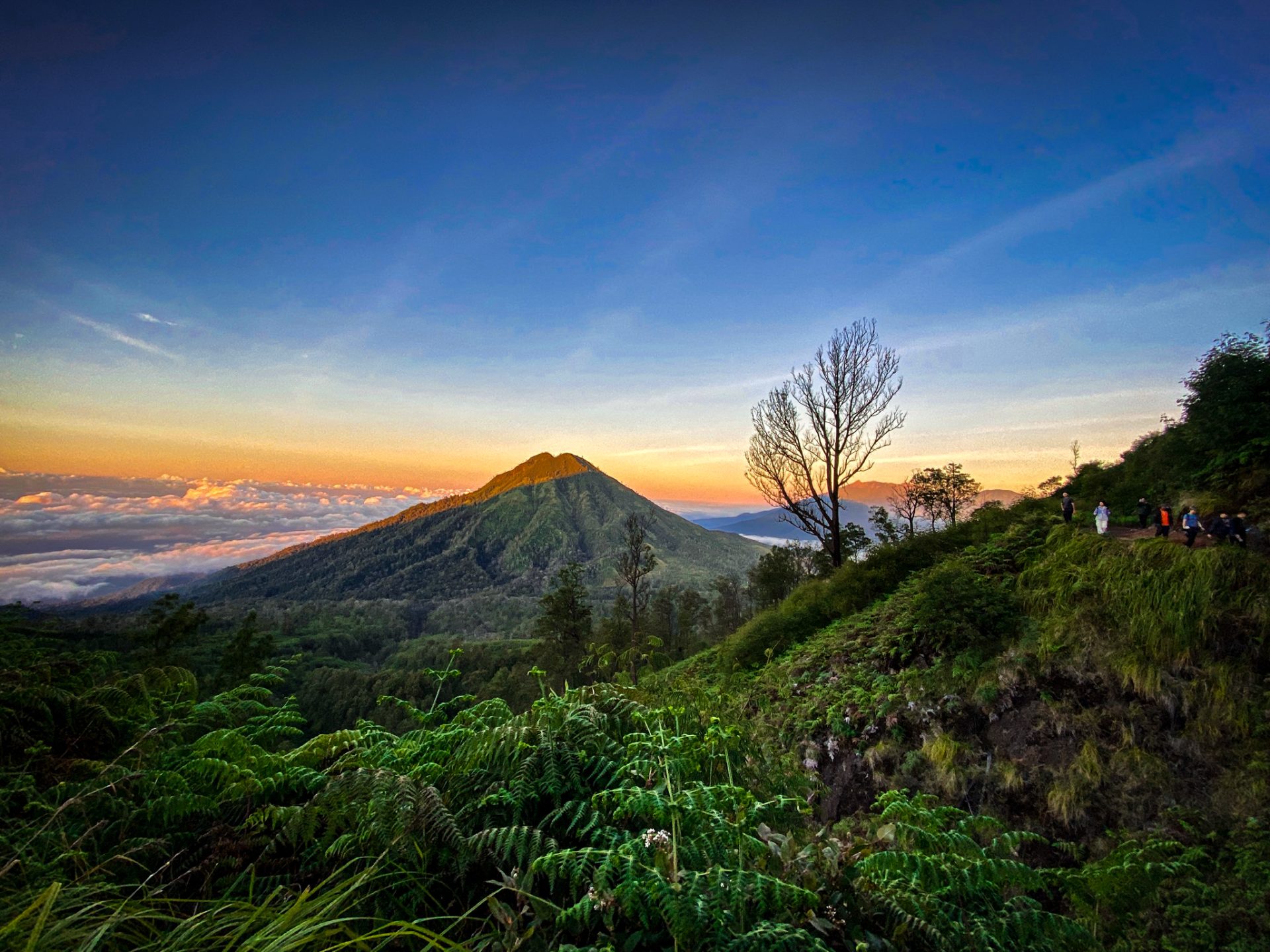 Pesona dan Daya Tarik Gunung Ranti : Mulai Dari Jelajah Alam Hingga ...