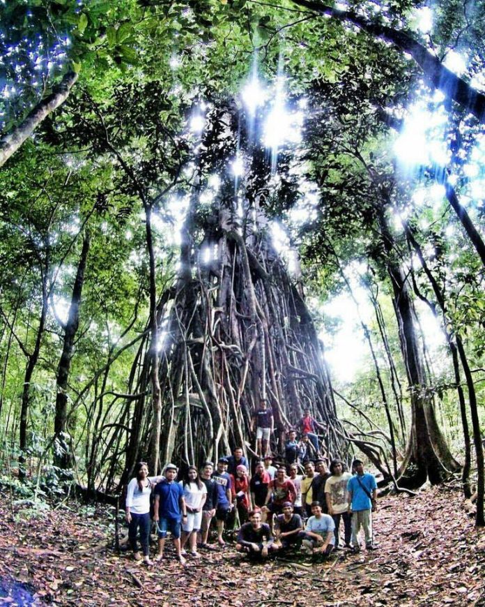 Jelajahi Keindahan Pulau Peucang di Banten: 10 Aktivitas Wisata Terbaik ...