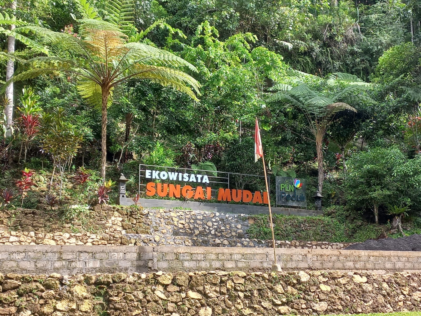 Daya Tarik Dan Pesona Ekowisata Sungai Mudal : Mulai Dari Pemandian ...