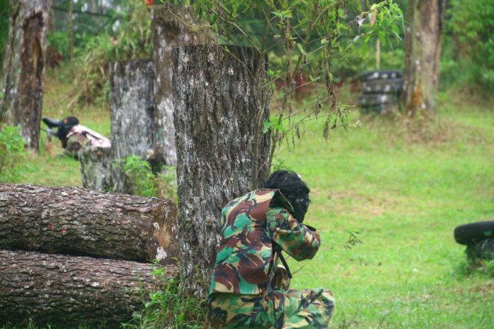 Jelajahi Keindahan Alam di Kebon Pines Cikole, Destinasi Terbaik Wisata ...