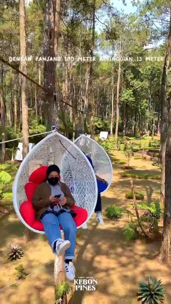 Jelajahi Keindahan Alam di Kebon Pines Cikole, Destinasi Terbaik Wisata ...