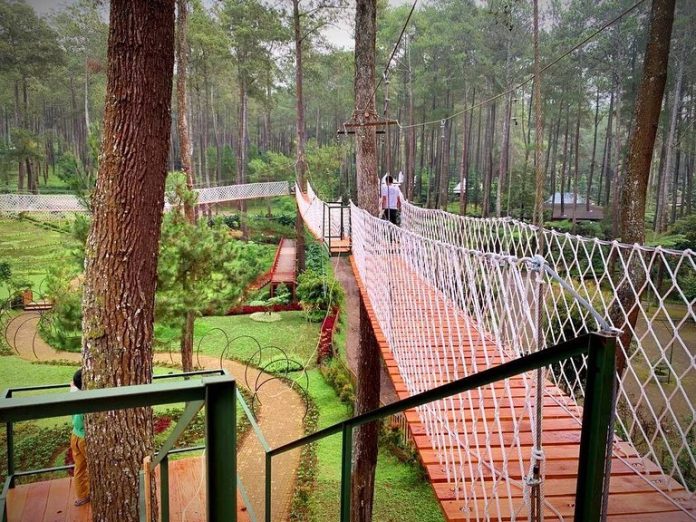 Jelajahi Keindahan Alam di Kebon Pines Cikole, Destinasi Terbaik Wisata ...