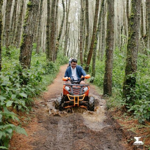 Jelajahi Keindahan Alam di Kebon Pines Cikole, Destinasi Terbaik Wisata ...
